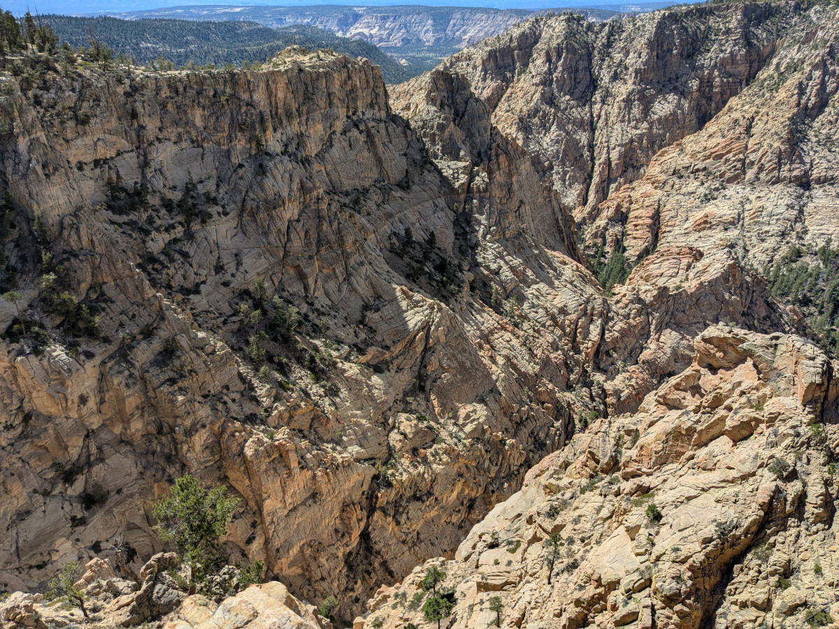 Exploring Utah’s Box Death Hollow: Adventures Along Hell’s Backbone ...